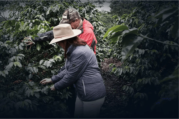 local market intelligence