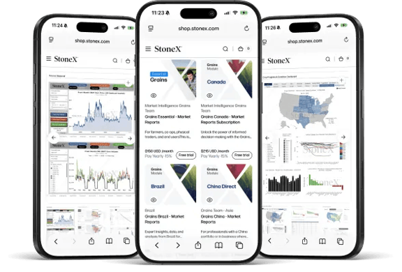 Grains Market Intelligence Analysis - Market Reports | StoneX EN
